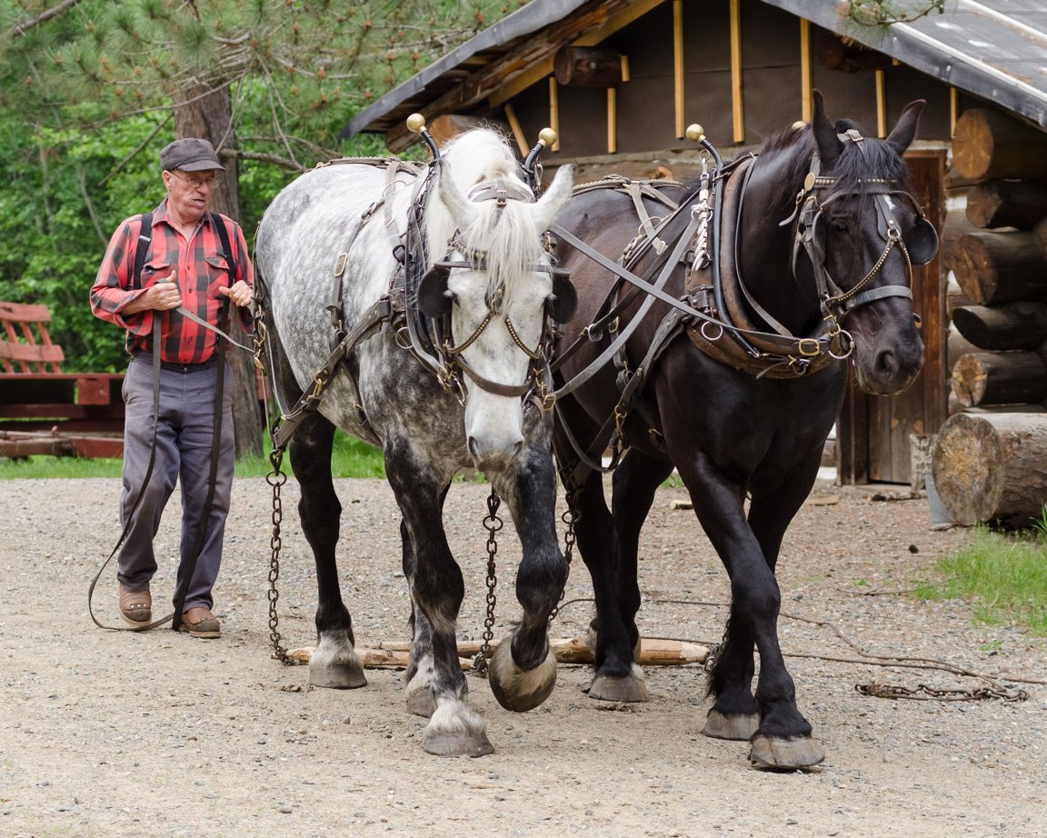 1900 Logging Camp Demonstration | Open Rivers Journal