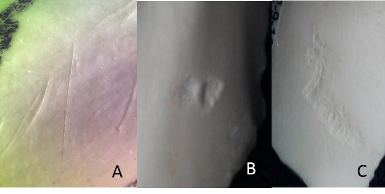 Surface Marks | Open Rivers Journal