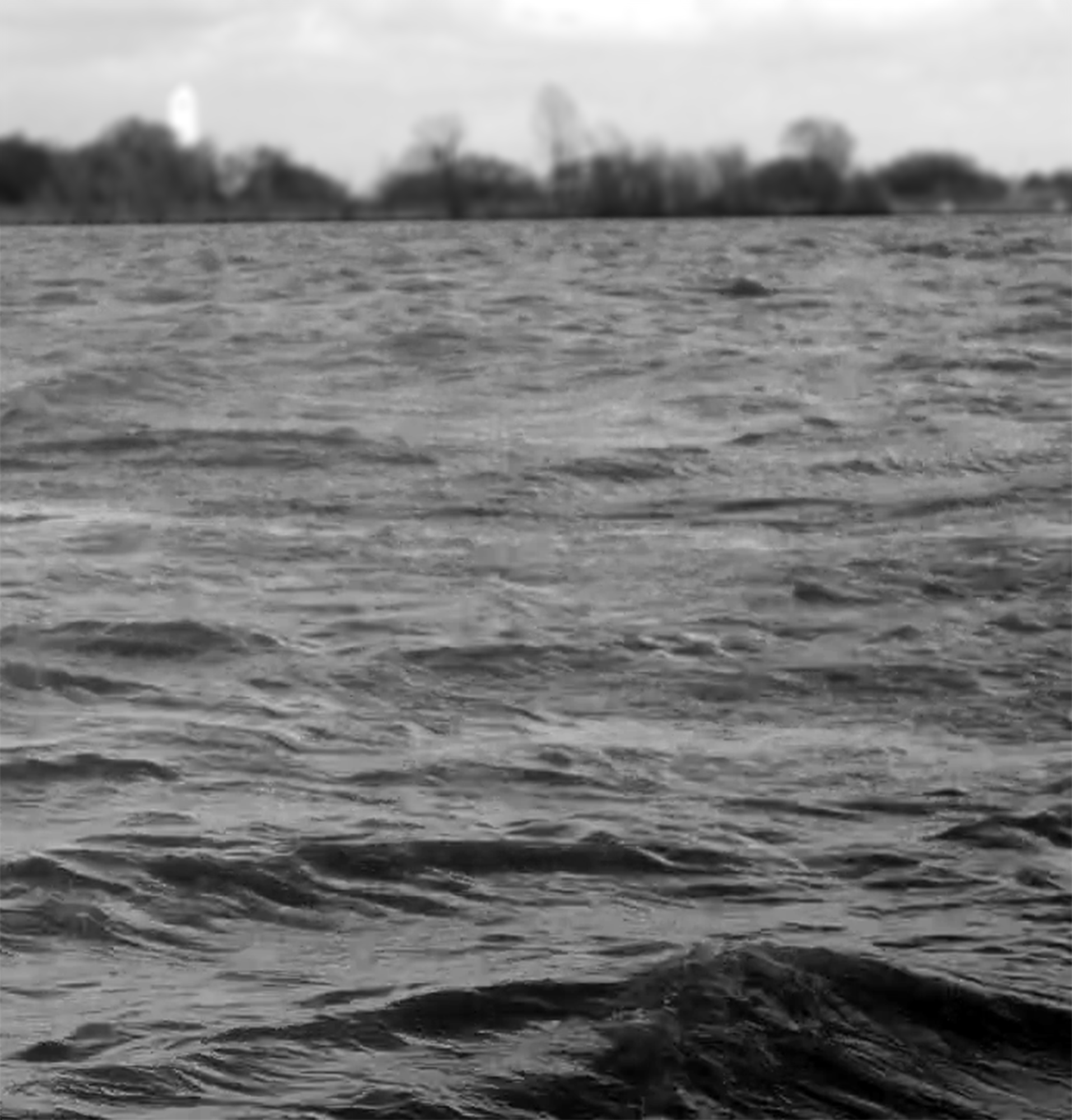 Water and Shoreline | Open Rivers Journal