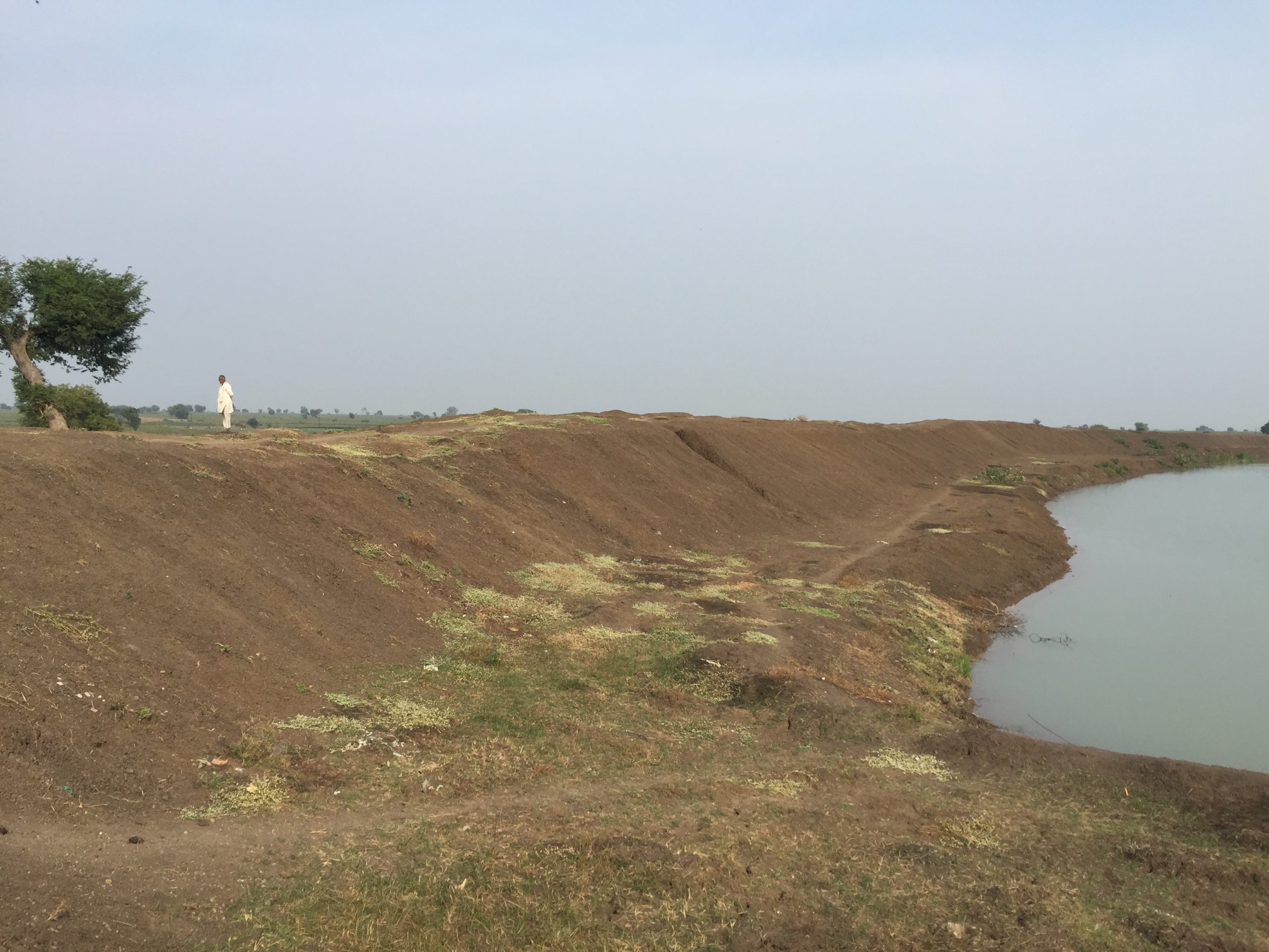 Pond and Path | Open Rivers Journal