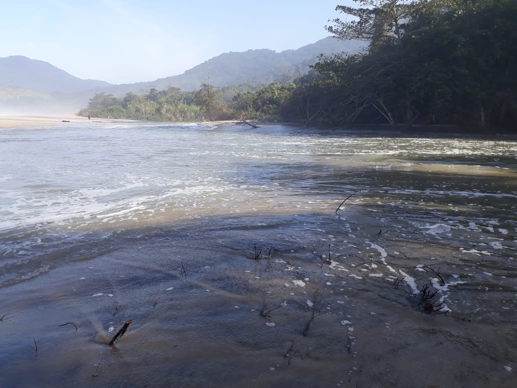 River and Sea | Open Rivers Journal