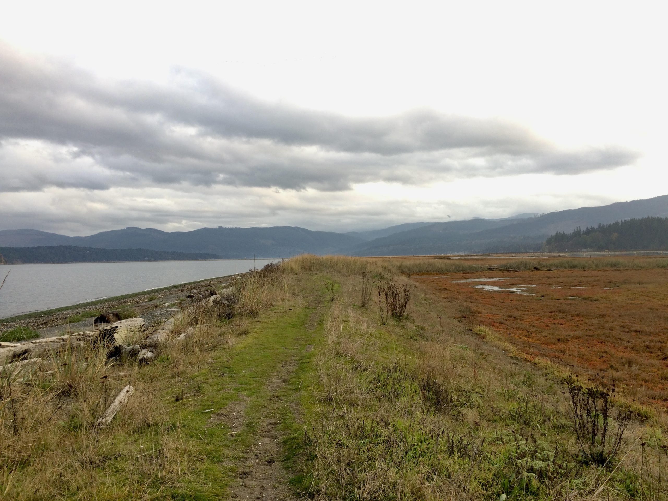 Washington Harbor | Open Rivers Journal