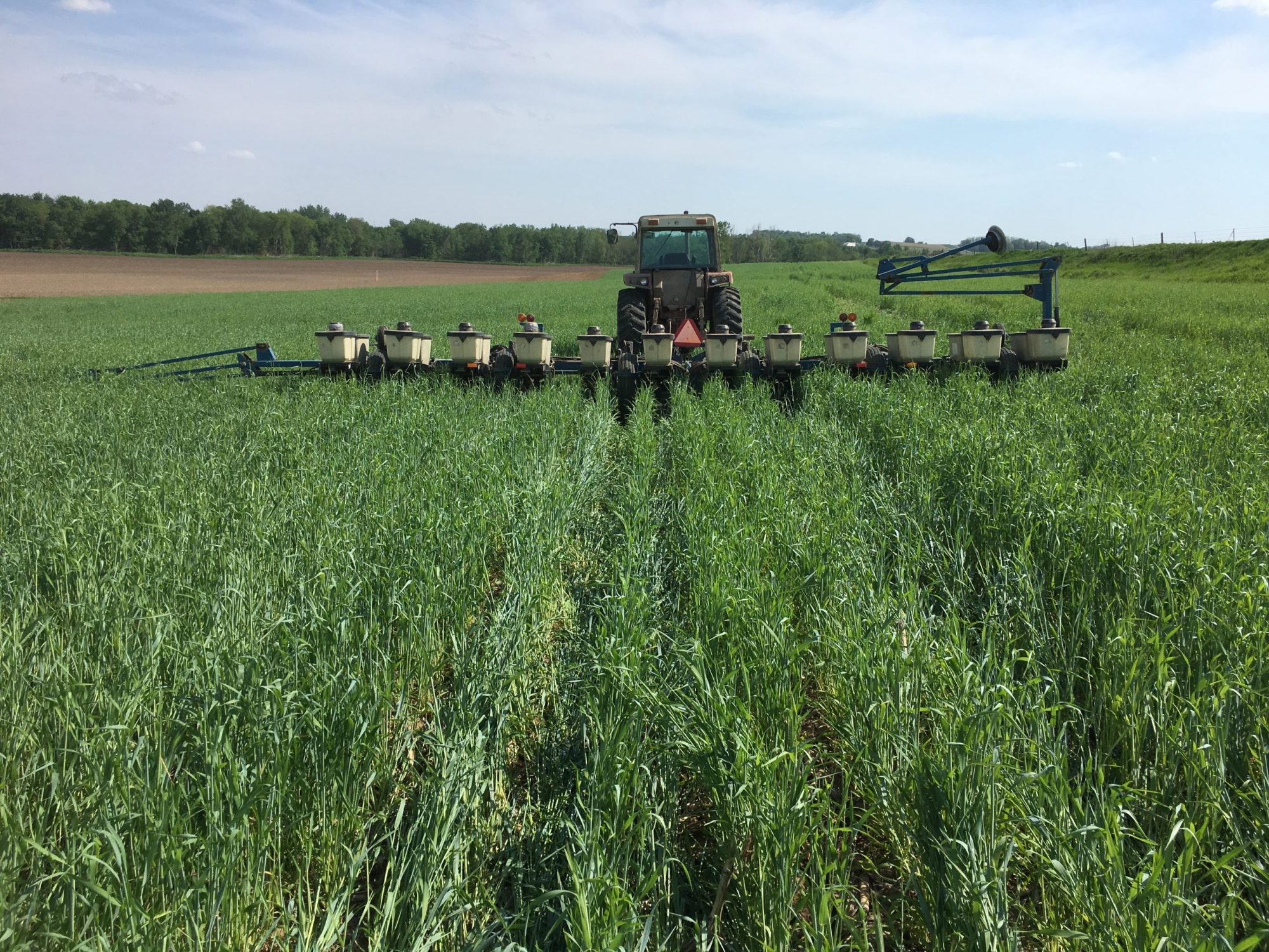 Cover Crops | Open Rivers Journal