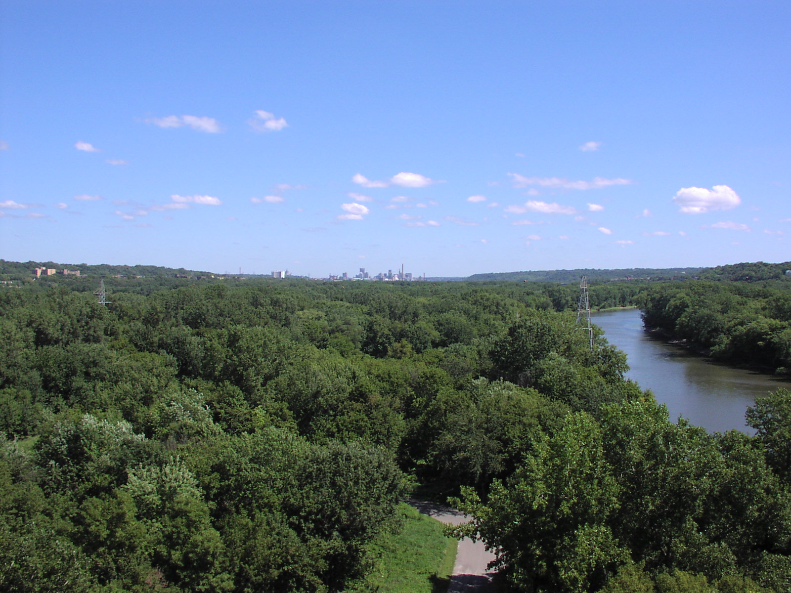 Floodplain Forest | Open Rivers Journal
