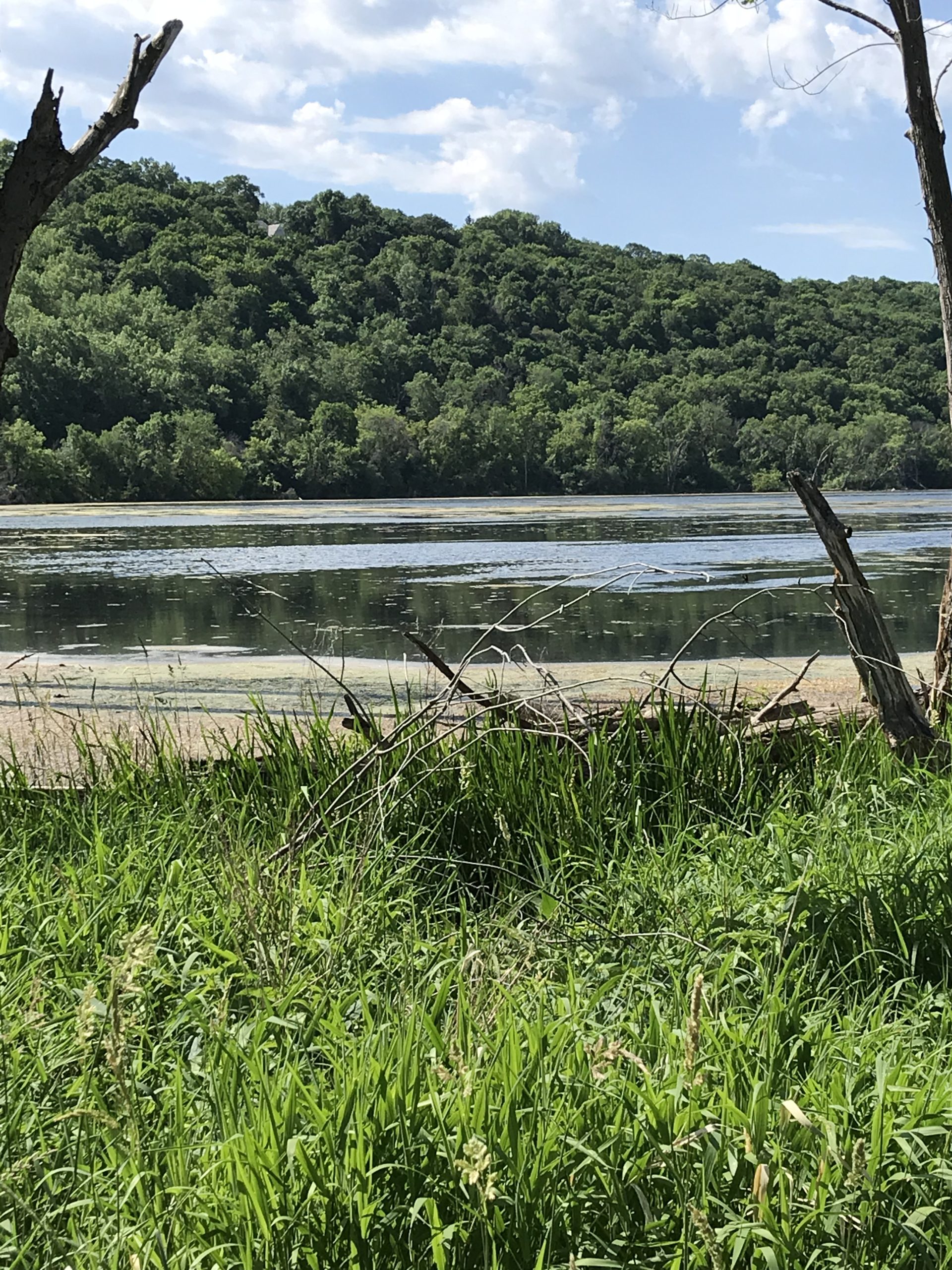 Pickerel Lake | Open Rivers Journal