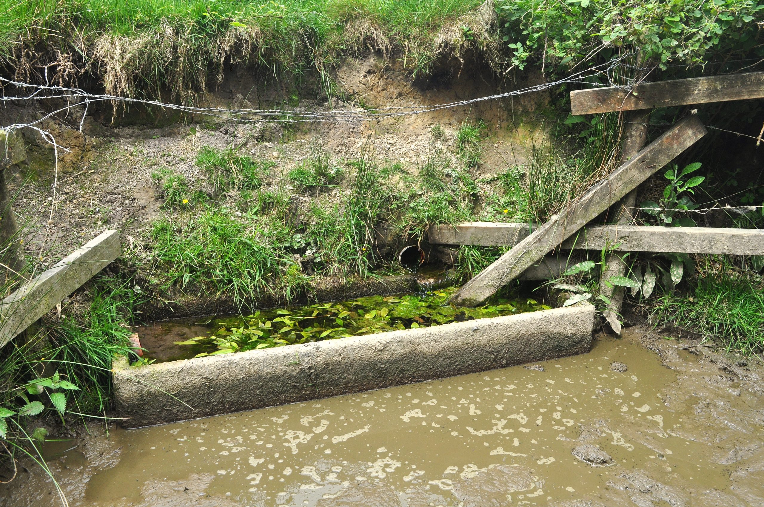 Source of the Tamar | Open Rivers Journal